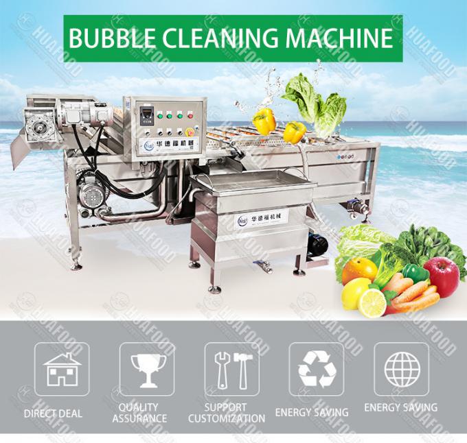 500kg/H 3.75KW SUS 304 Apricot Celery Washing Machine
